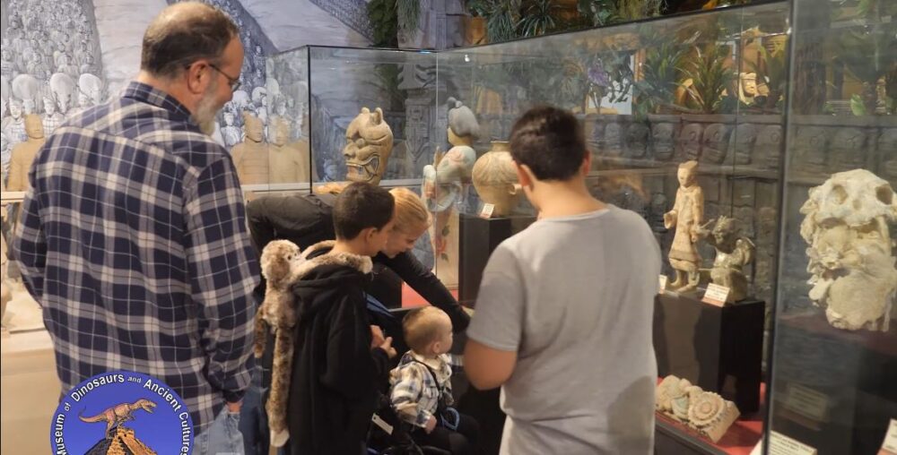 Home | The Dinosaur Store