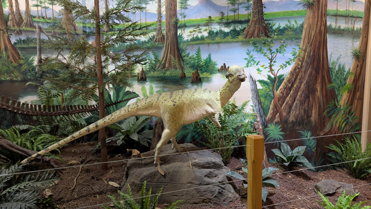 Hall of Dinosaurs | The Dinosaur Store