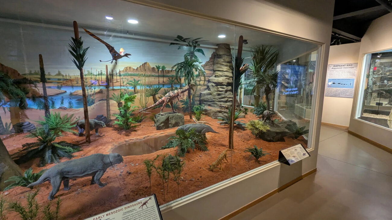 Hall of Dinosaurs | The Dinosaur Store