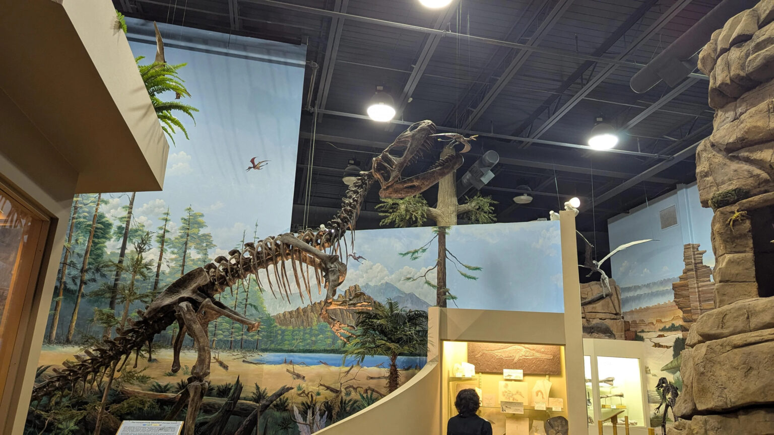 Home | The Dinosaur Store