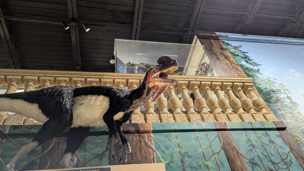 Hall of Dinosaurs | The Dinosaur Store