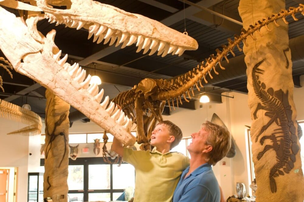 Plan Your Visit | The Dinosaur Store