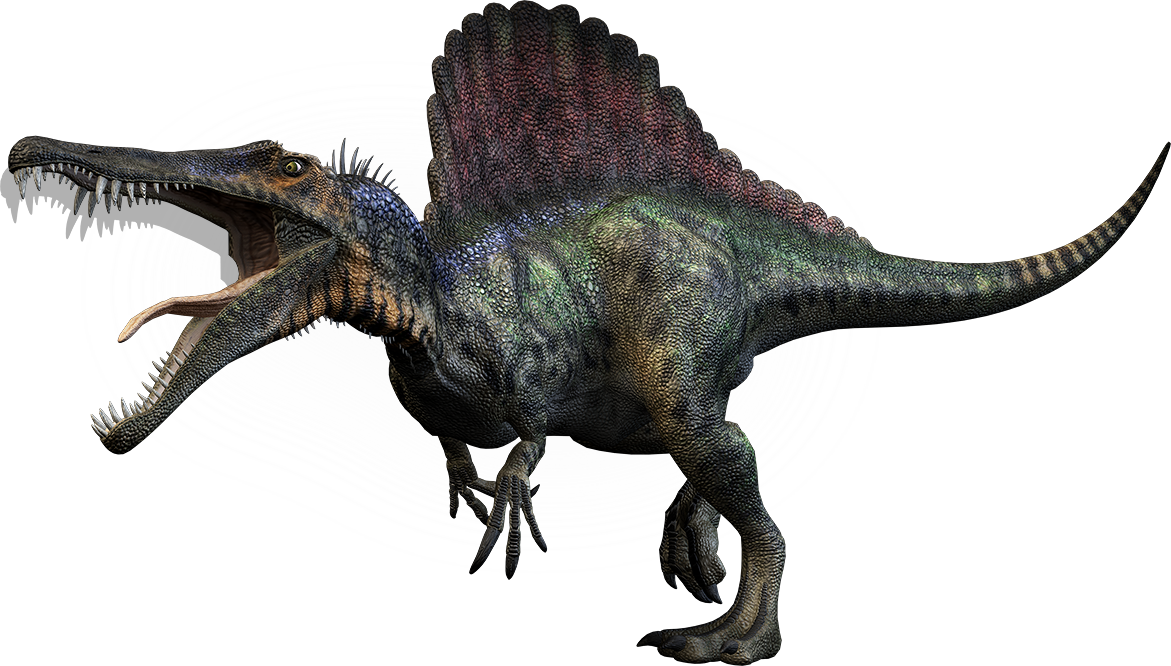 SPINOSAURUS HAND CLAW | The Dinosaur Store